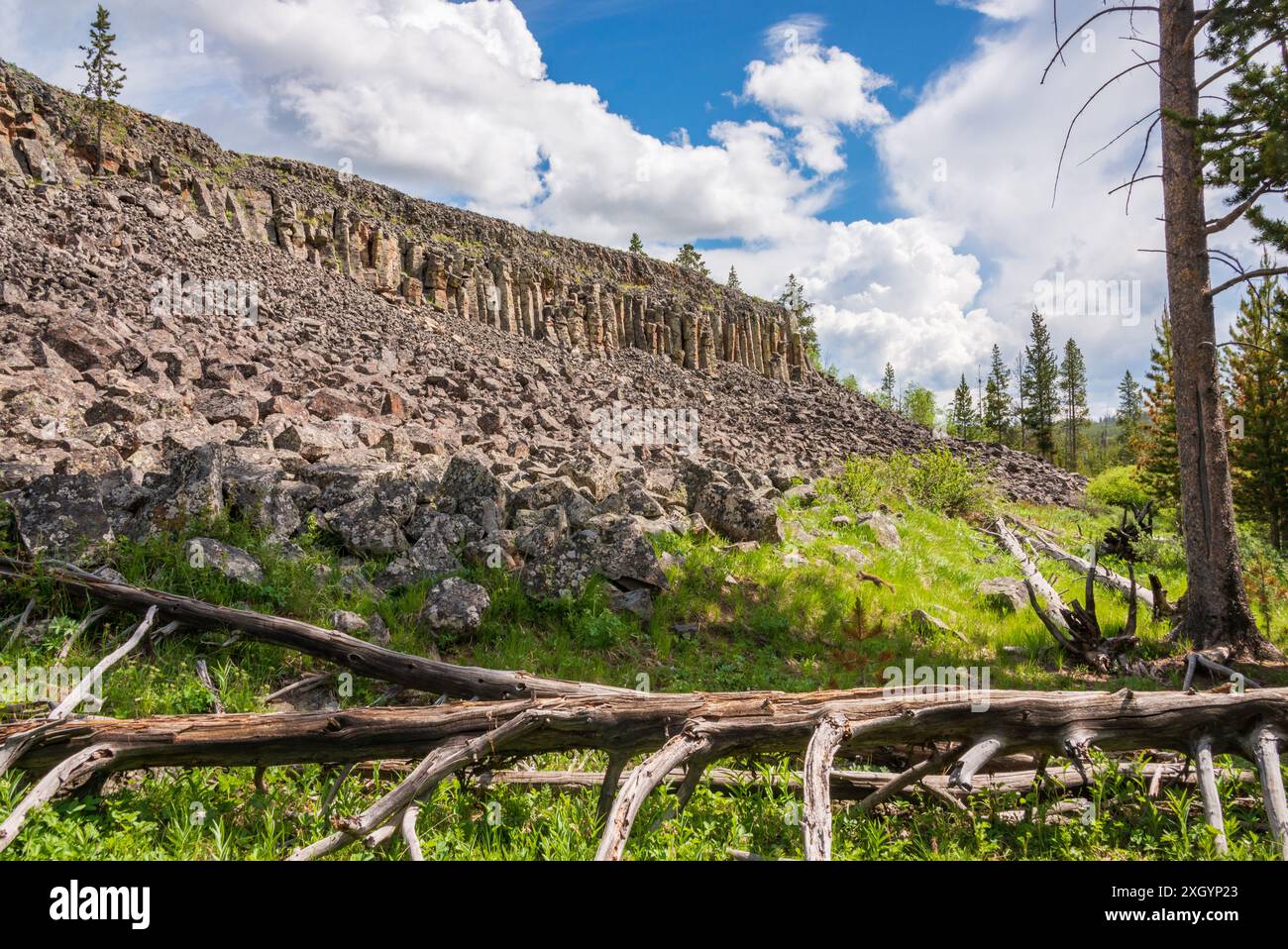 The Sheepeater Cliffs at Yellowstone National Park Stock Photo - Alamy