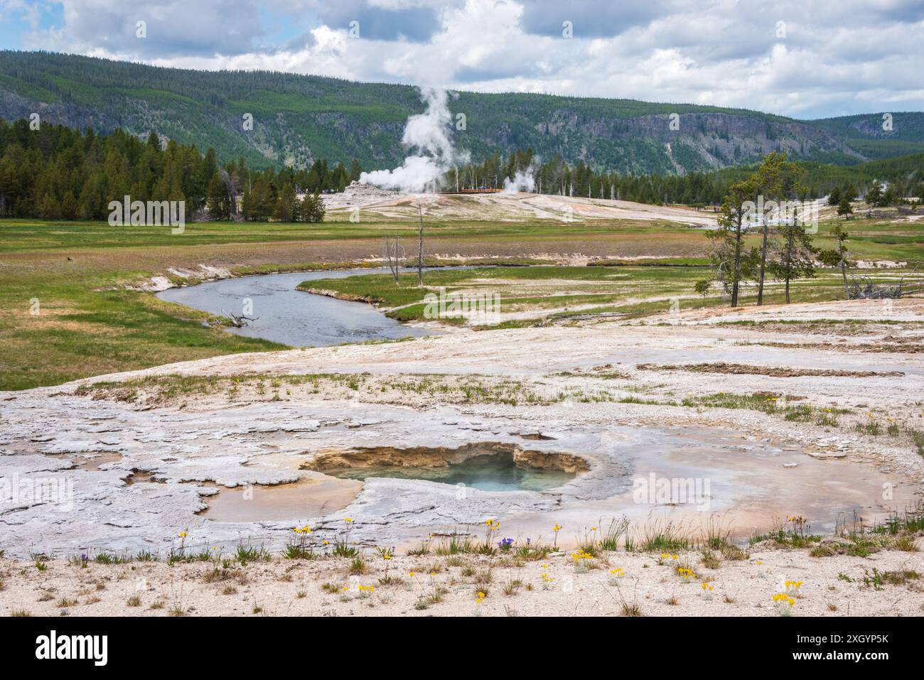 Landscape of Yellowstone National Park, Wyoming, USA, Upper Geyser ...