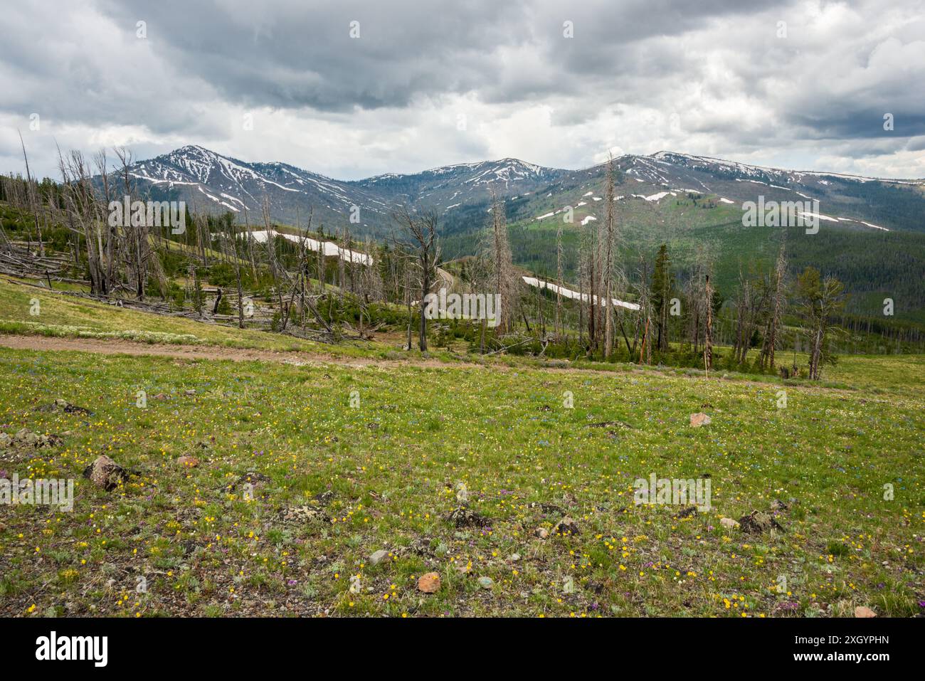 Washburn high hi-res stock photography and images - Alamy