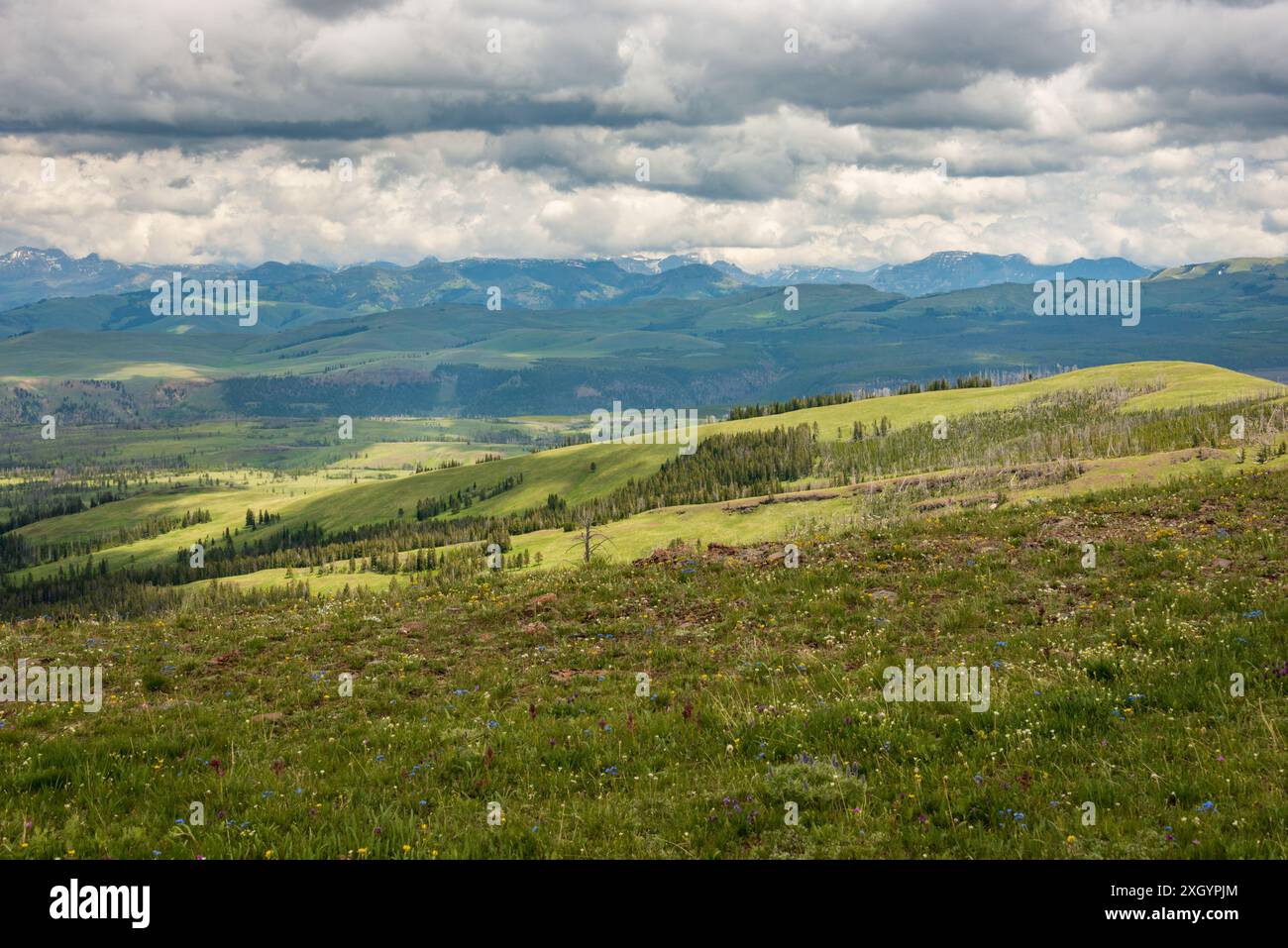 Washburn summit hi-res stock photography and images - Alamy