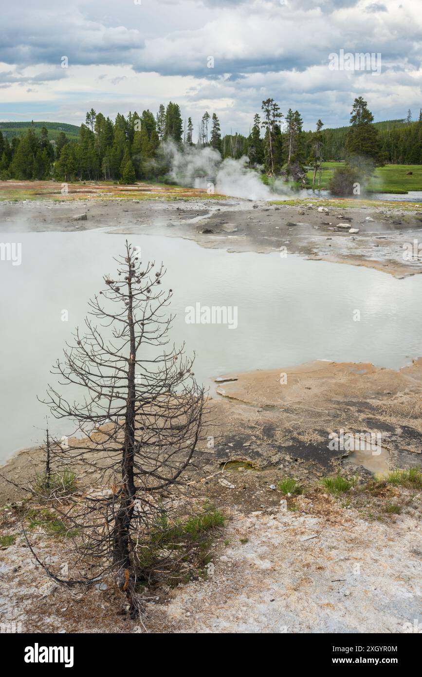 The Biscuit Basin, A Collection of Colorful Thermal Pools and Geysers ...