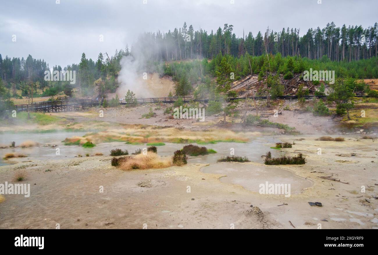 The Cooking Hillside, Mud Volcano Area, Yellowstone National Park ...