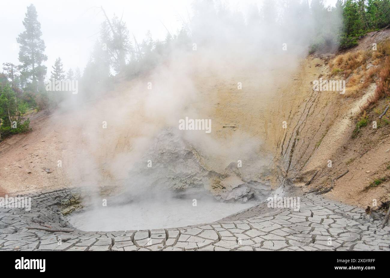 The Mud Volcano at Yellowstone National Park, USA Stock Photo - Alamy