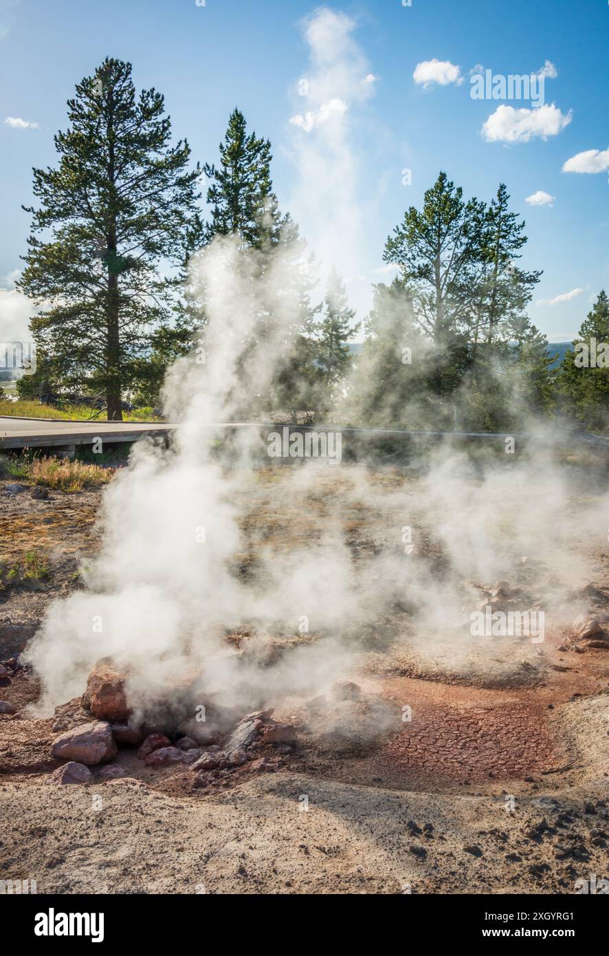 The Fumaroles at Geyser Hill, Old Faithful Area, Yellowstone National ...
