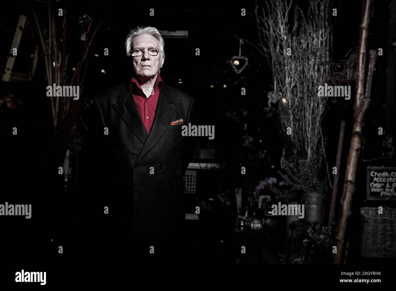 Alan Ford Actor Portraits - Photographed in London, UK Stock Photo - Alamy