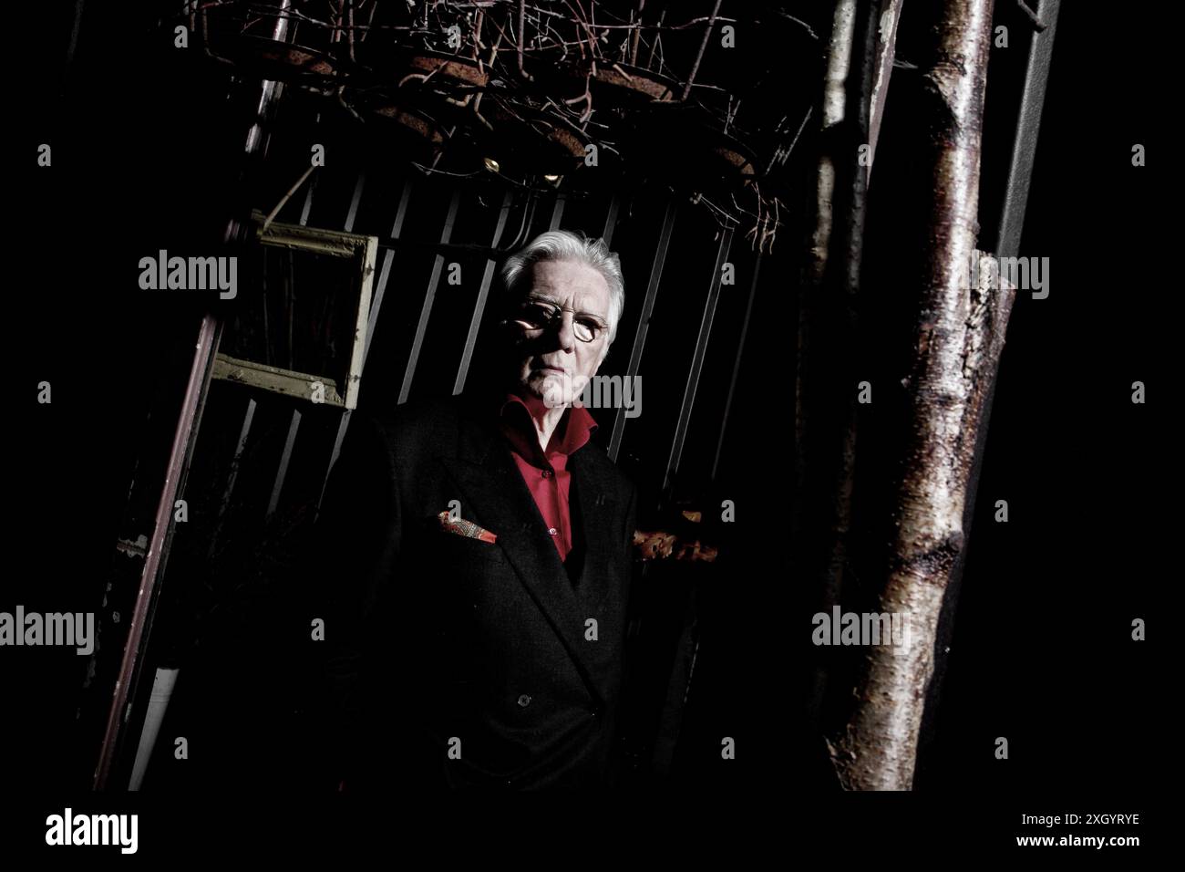 Alan Ford Actor Portraits - Photographed in London, UK Stock Photo - Alamy