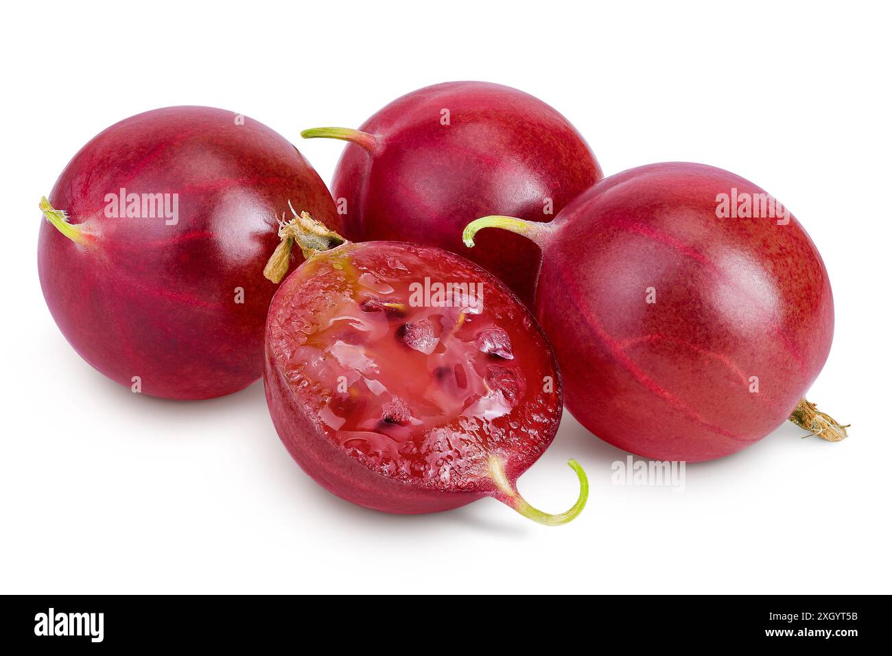 Red gooseberry isolated on white background with full depth of field ...
