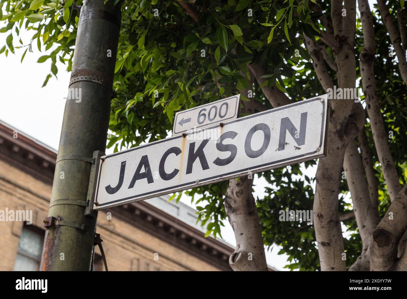 Jackson Street Sign in San Francisco California Stock Photo - Alamy