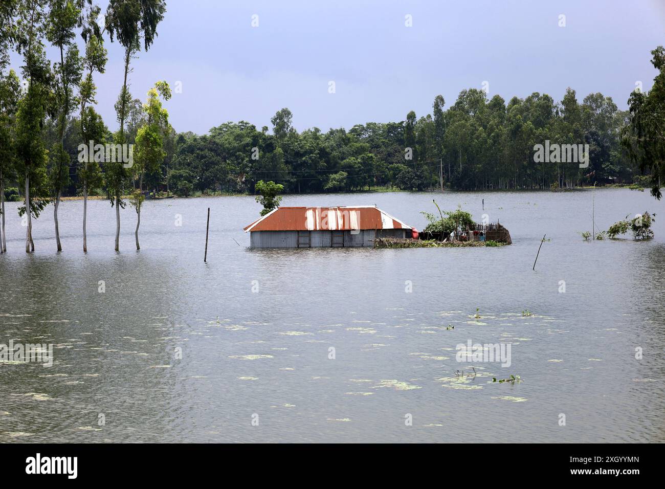 July 11, 2024, Kurigram, Kurigram, Bangladesh: Dharla river in Kurigram ...