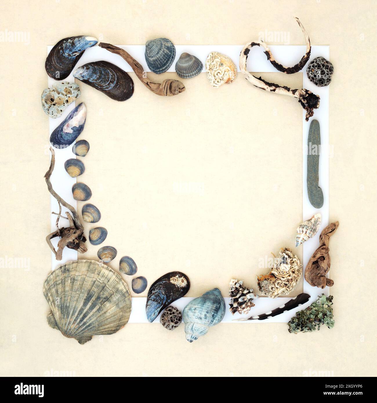 Natural collage background of nature objects with white frame border ...