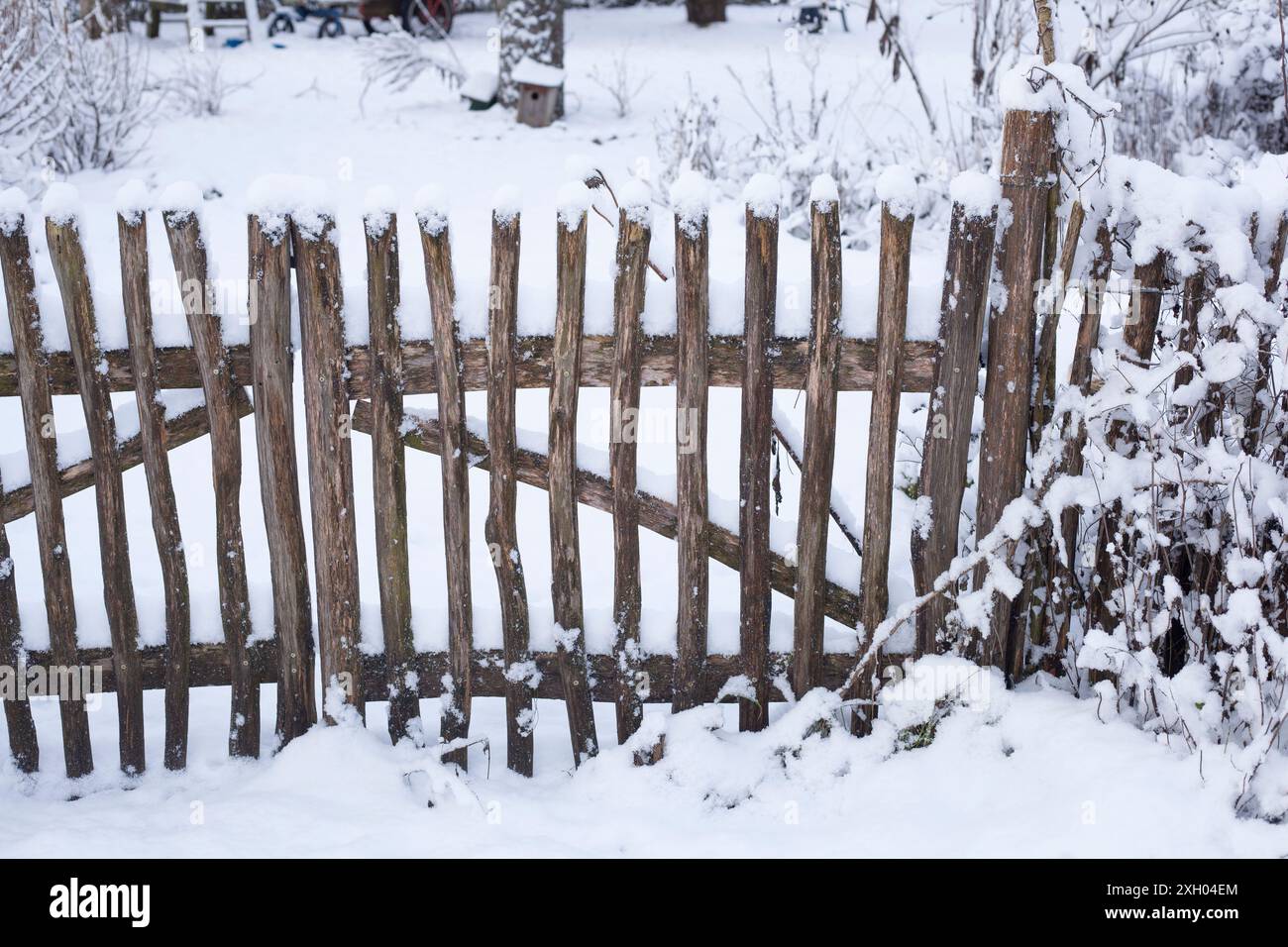Allotment garden in the snow hi-res stock photography and images - Alamy
