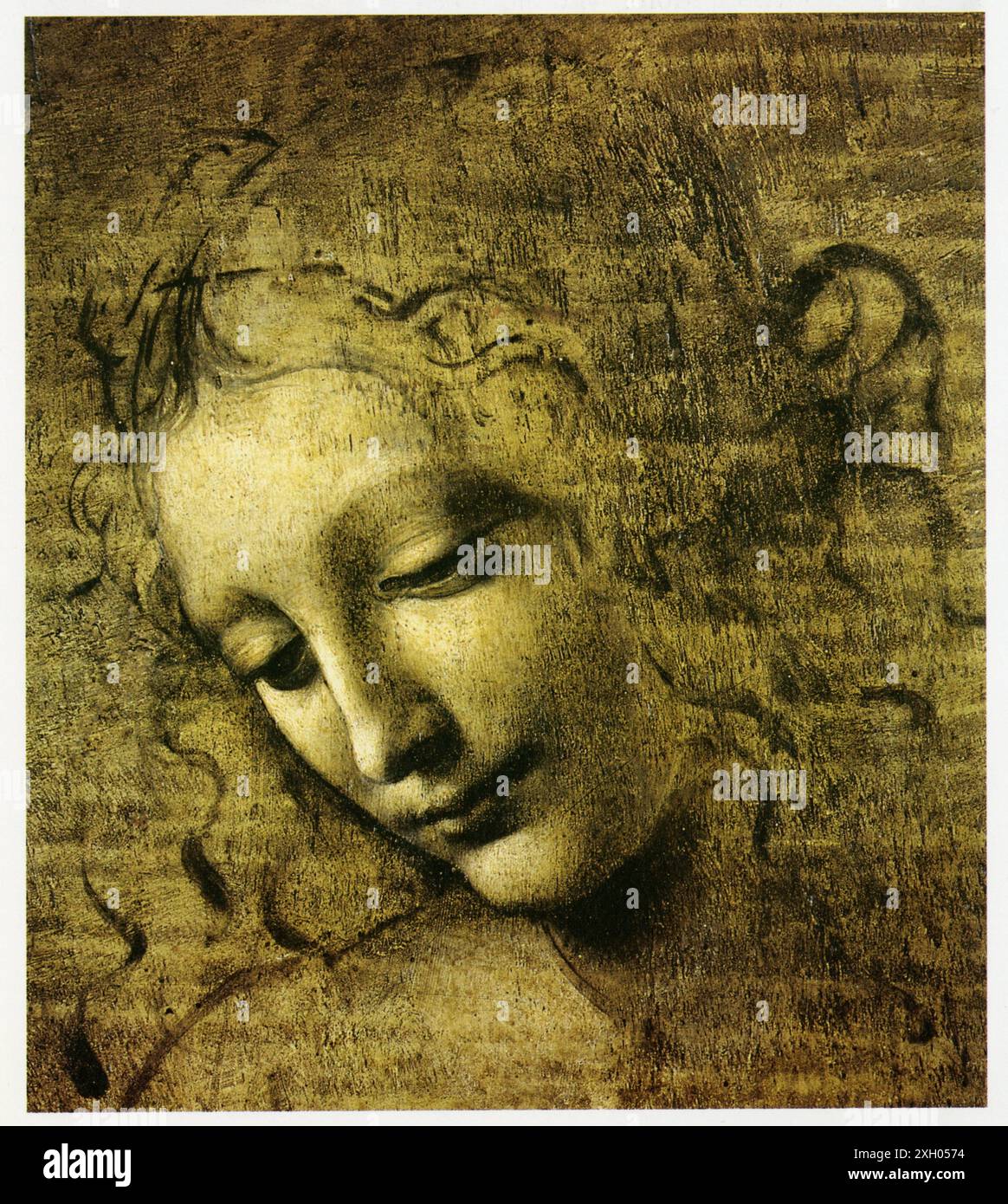 LEONARDO DA VINCI. LA SCAPIGLIATA. UM 1500. UMBRA UND BLEIWEISS AUF PAPPELHOLZ. 27,7 X 21 CM ...