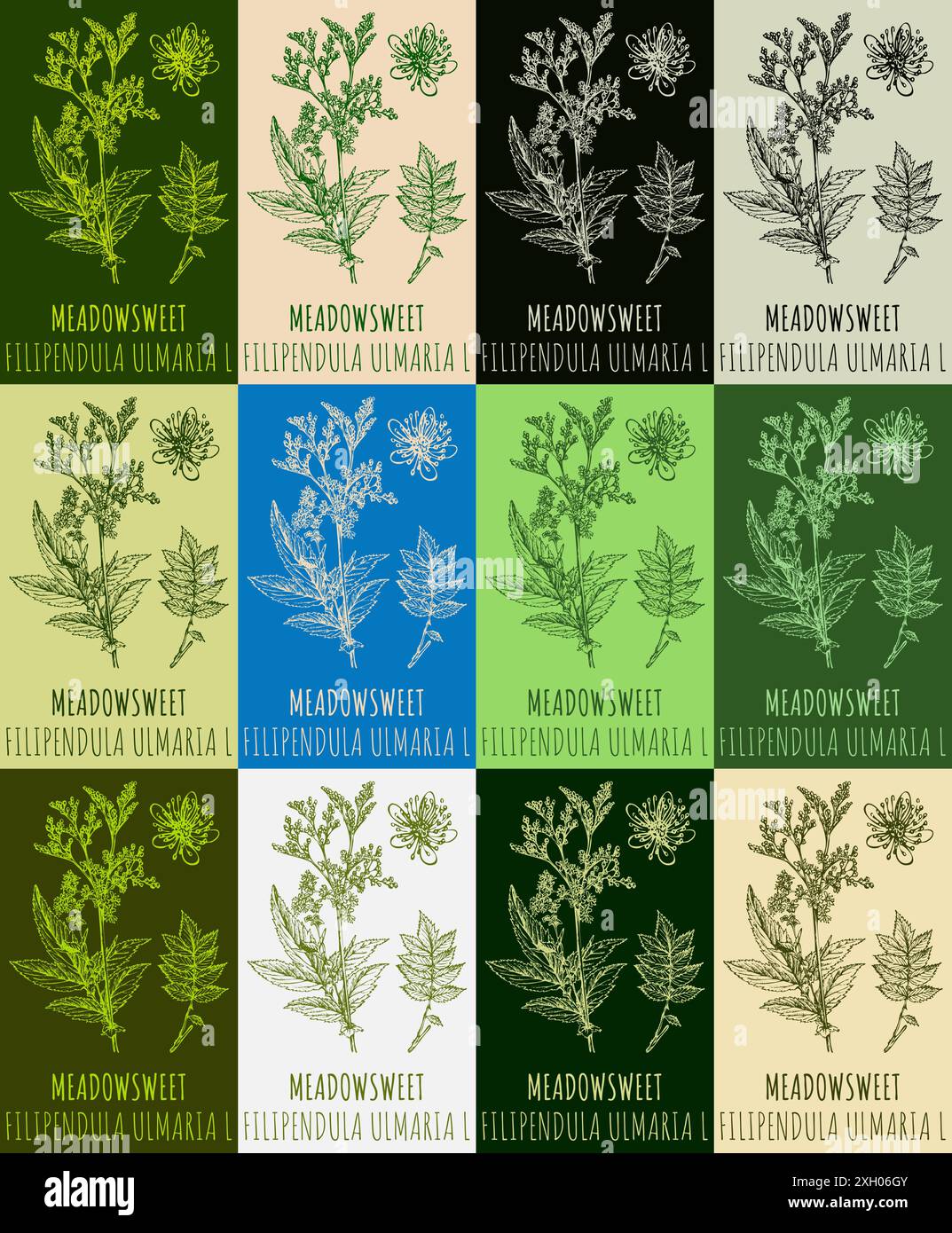 Engraved shrub Stock Vector Images - Alamy