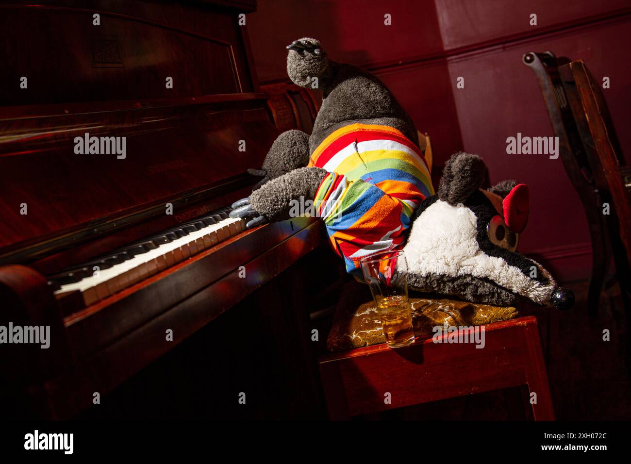 Bodger and Badger Bodger & Badger portraits Stock Photo - Alamy