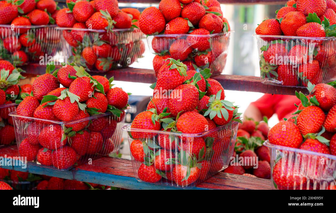 Basket fresh delicious strawberries hi-res stock photography and images ...