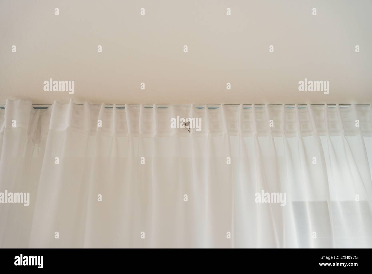 Insect curtain hi-res stock photography and images - Alamy