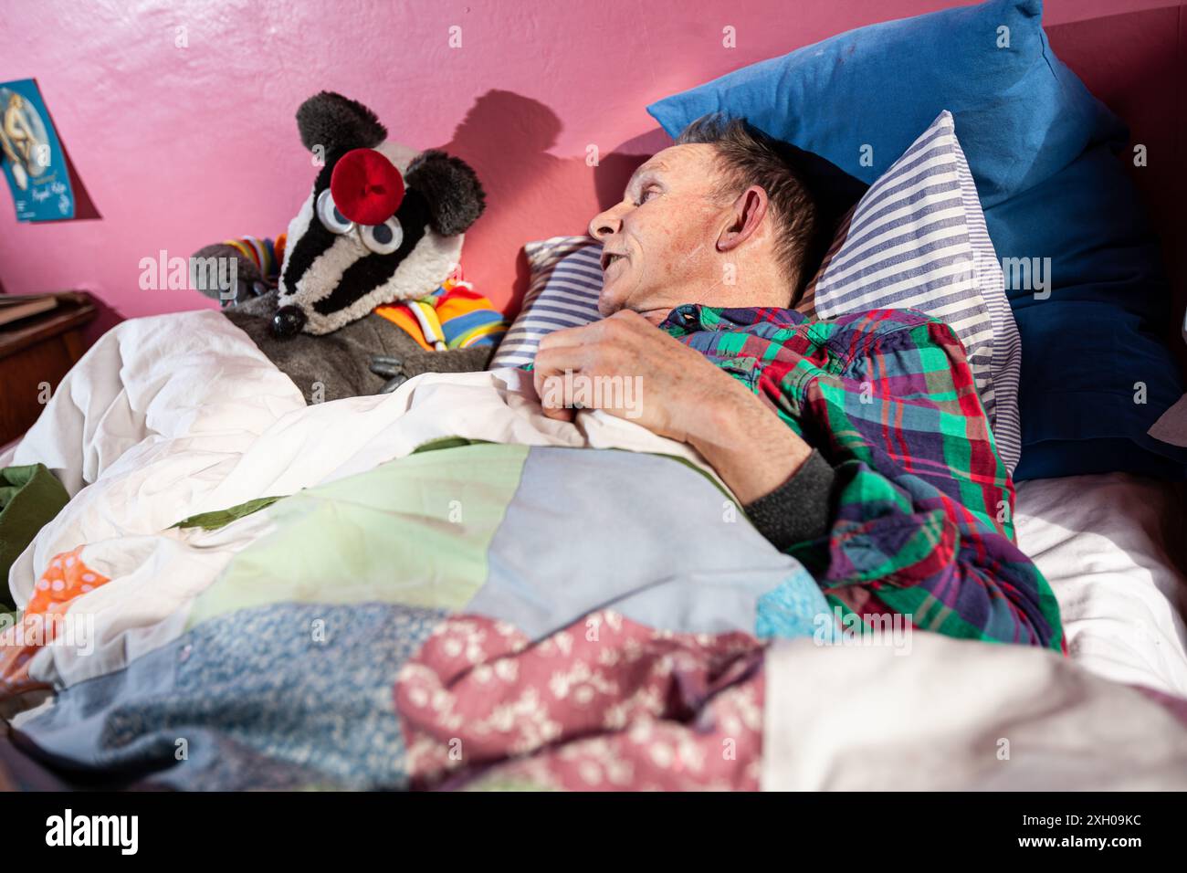 Bodger and Badger Bodger & Badger portraits Stock Photo - Alamy