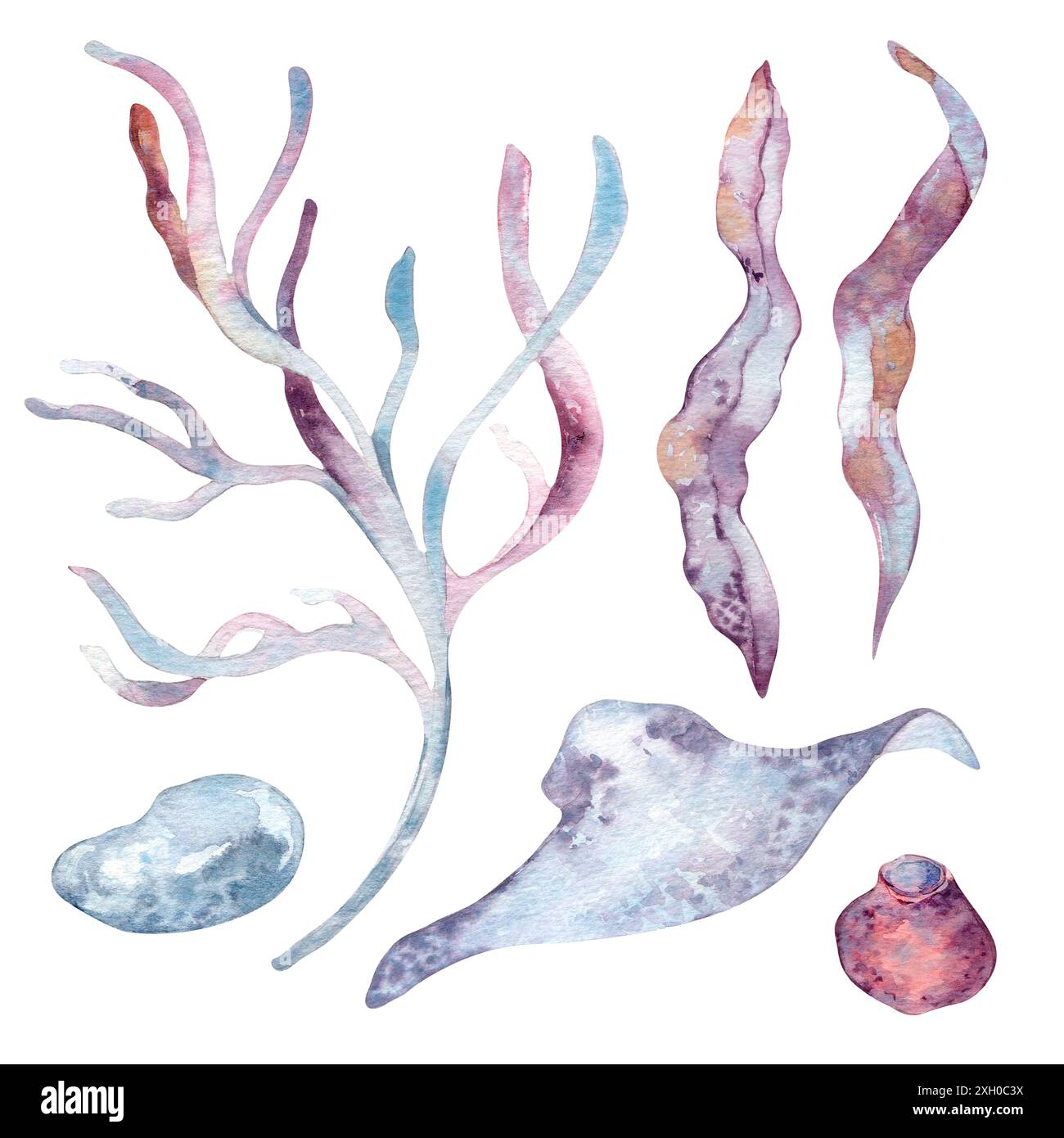 Sea life set as a stingray, seashell, seaweed, and stones in watercolor ...