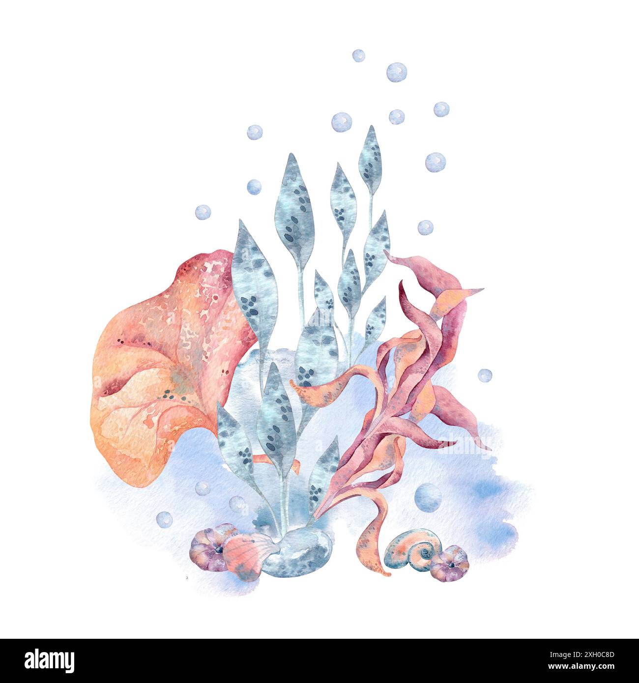 Seaweeds landscape with blue plants and pink laminaria in watercolor ...