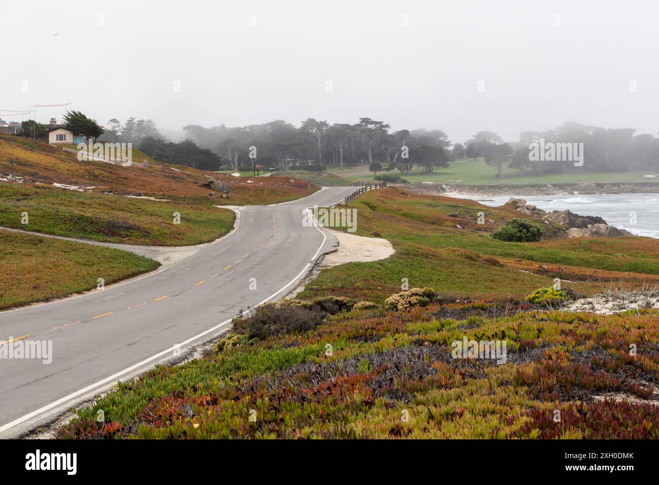 A captivating coastal landscape featuring the majestic ocean and ...