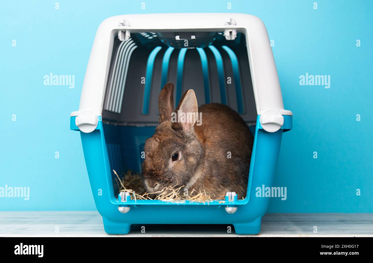 Animal transport cage hi-res stock photography and images - Alamy