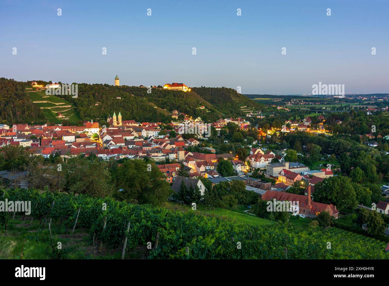 Schloss Neuenburg Castle, vineyard, Old Town Freyburg Unstrut Sachsen ...