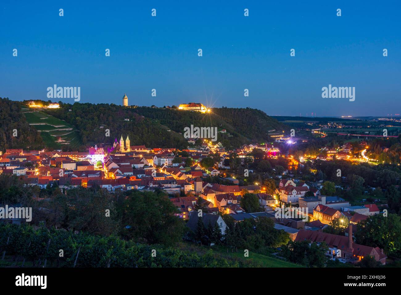 Schloss Neuenburg Castle, vineyard, Old Town Freyburg Unstrut Sachsen ...