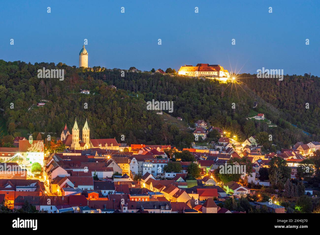 Schloss Neuenburg Castle, vineyard, Old Town Freyburg Unstrut Sachsen ...
