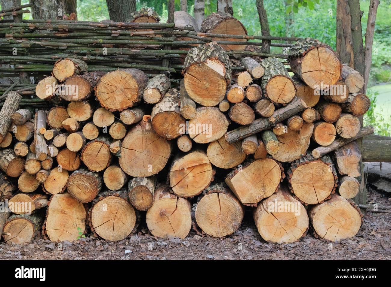 Storage of firewood. Firewood warehouse in the countryside. Woodpile ...