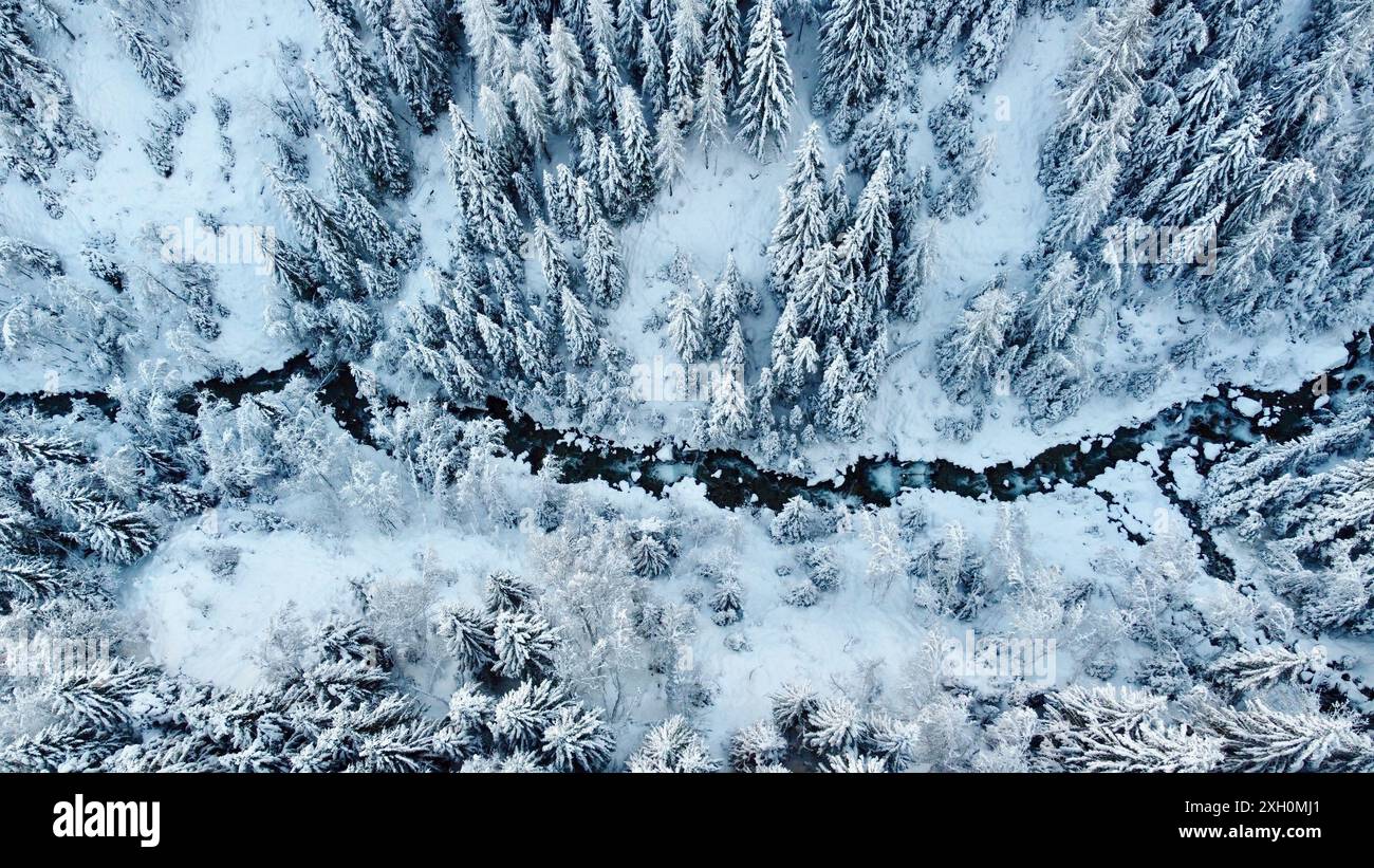 aerial view forest snow river cold water natural drone Stock Photo - Alamy