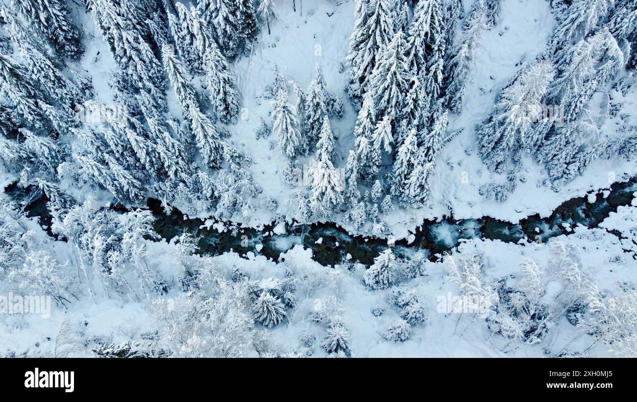 aerial view forest snow river cold water natural drone Stock Photo - Alamy