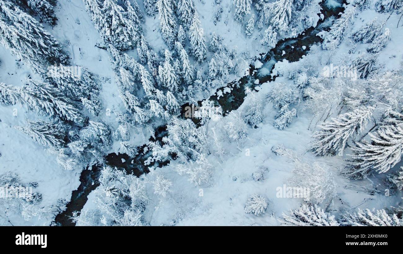 aerial view forest snow river cold water natural drone Stock Photo - Alamy