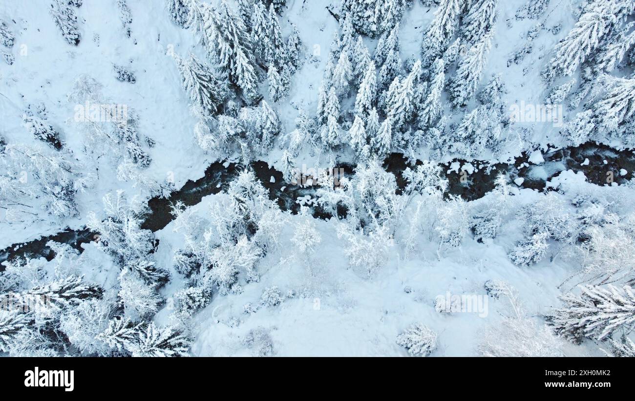 aerial view forest snow river cold water natural drone Stock Photo - Alamy