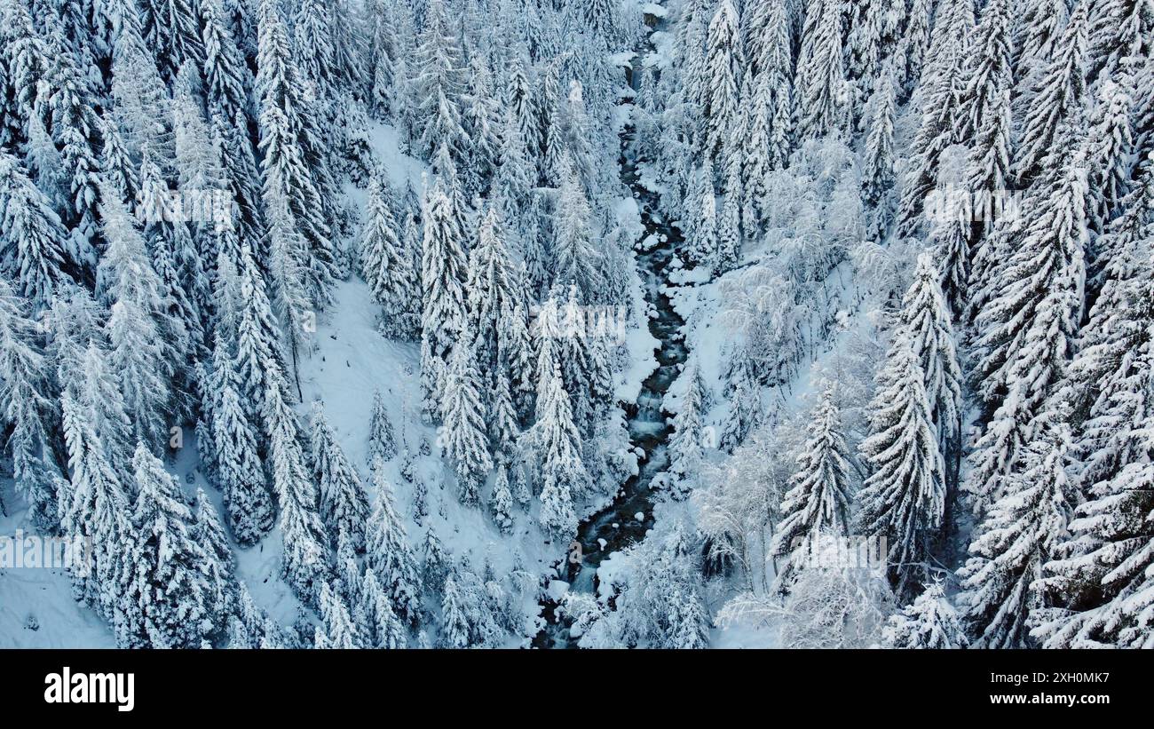 Aerial snowy forests river winter hi-res stock photography and images ...