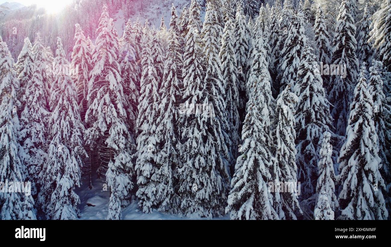 Beau soleil switzerland hi-res stock photography and images - Alamy