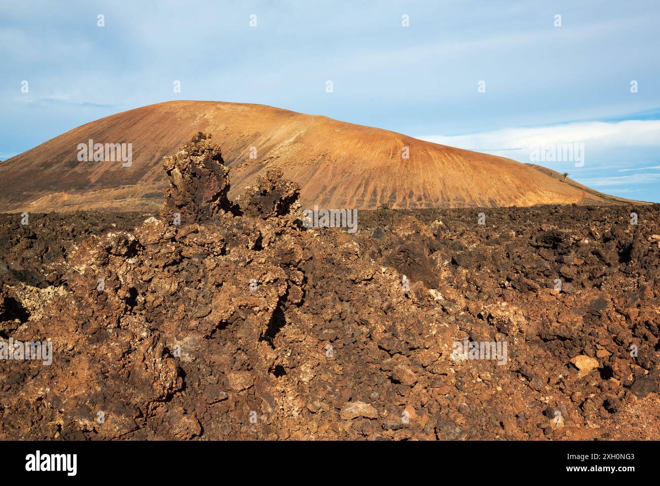 Corujo hi-res stock photography and images - Alamy