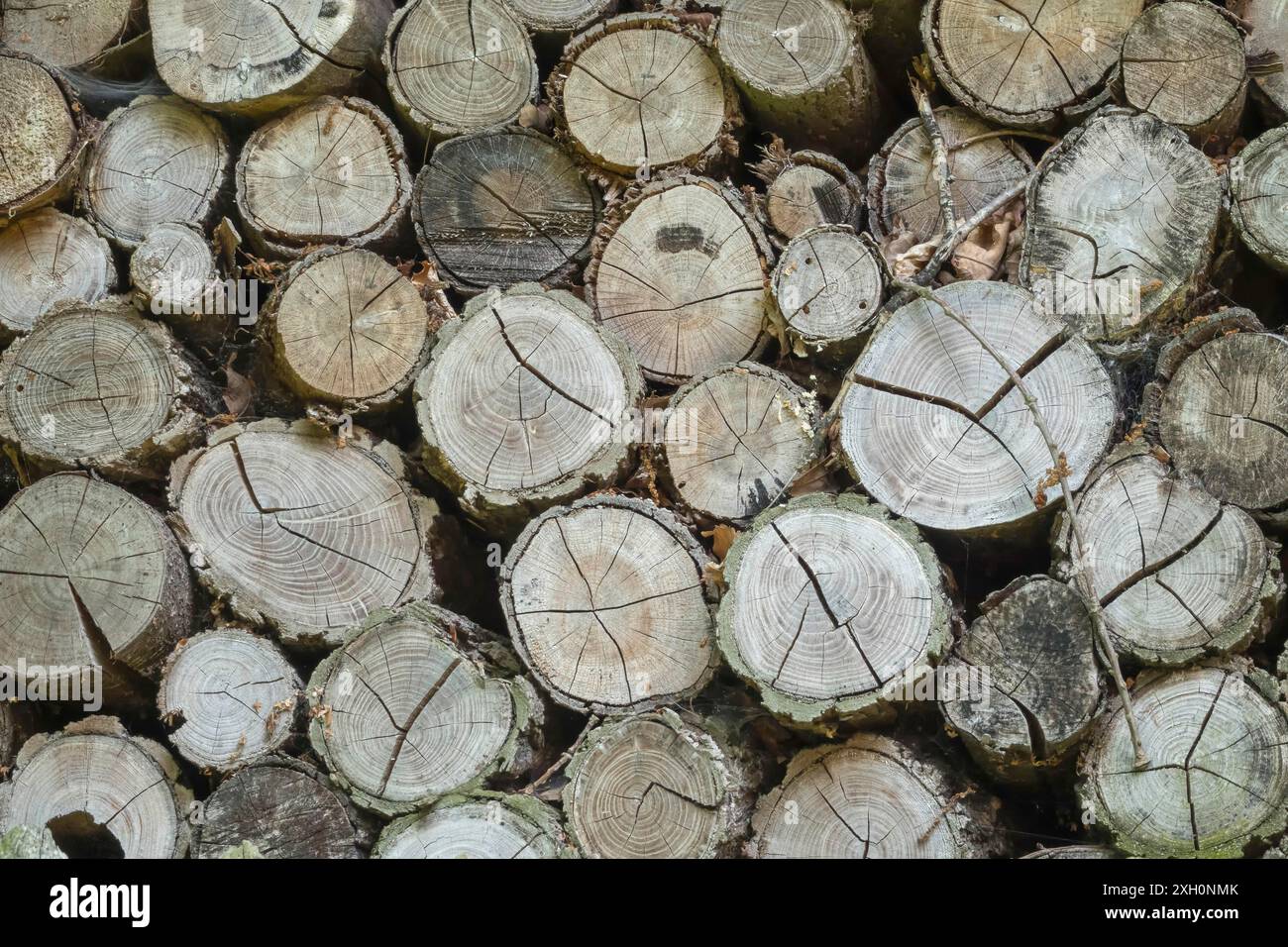Wood pile, firewood, wood stock, background, texture, Germany Stock ...