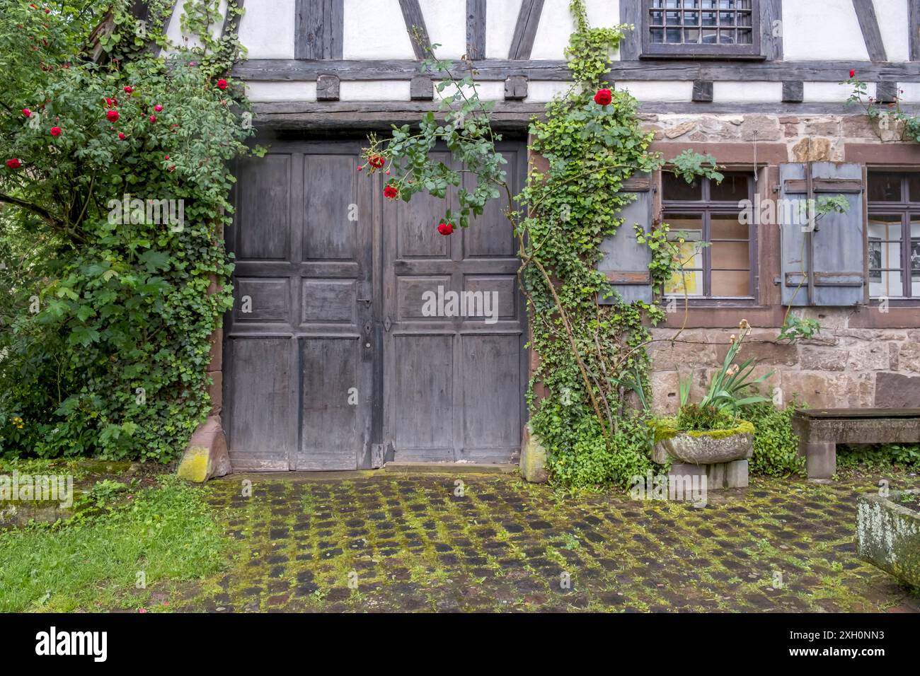 Historic building with wooden doors, surrounded by climbing roses and ...