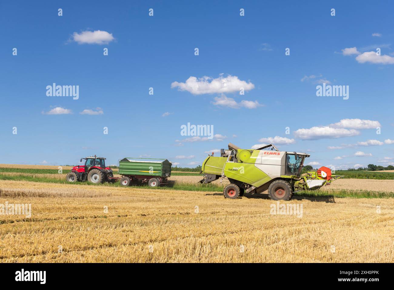 Combine harvester harvesting grain, Harvesting wheat, Tractor, Baden ...