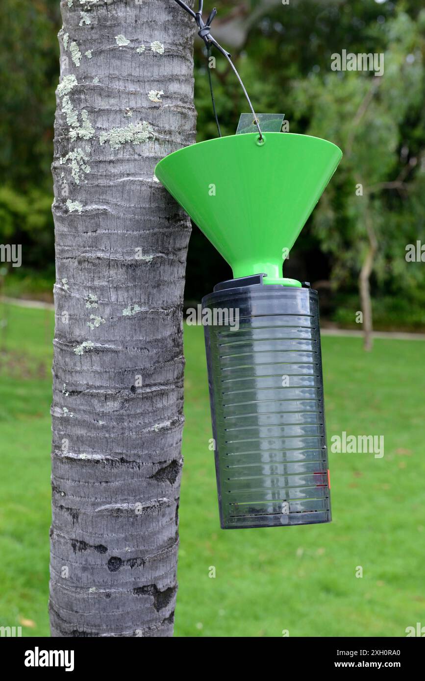Insect trap on a tree, on the Isole di Brissago, Canton Ticino ...