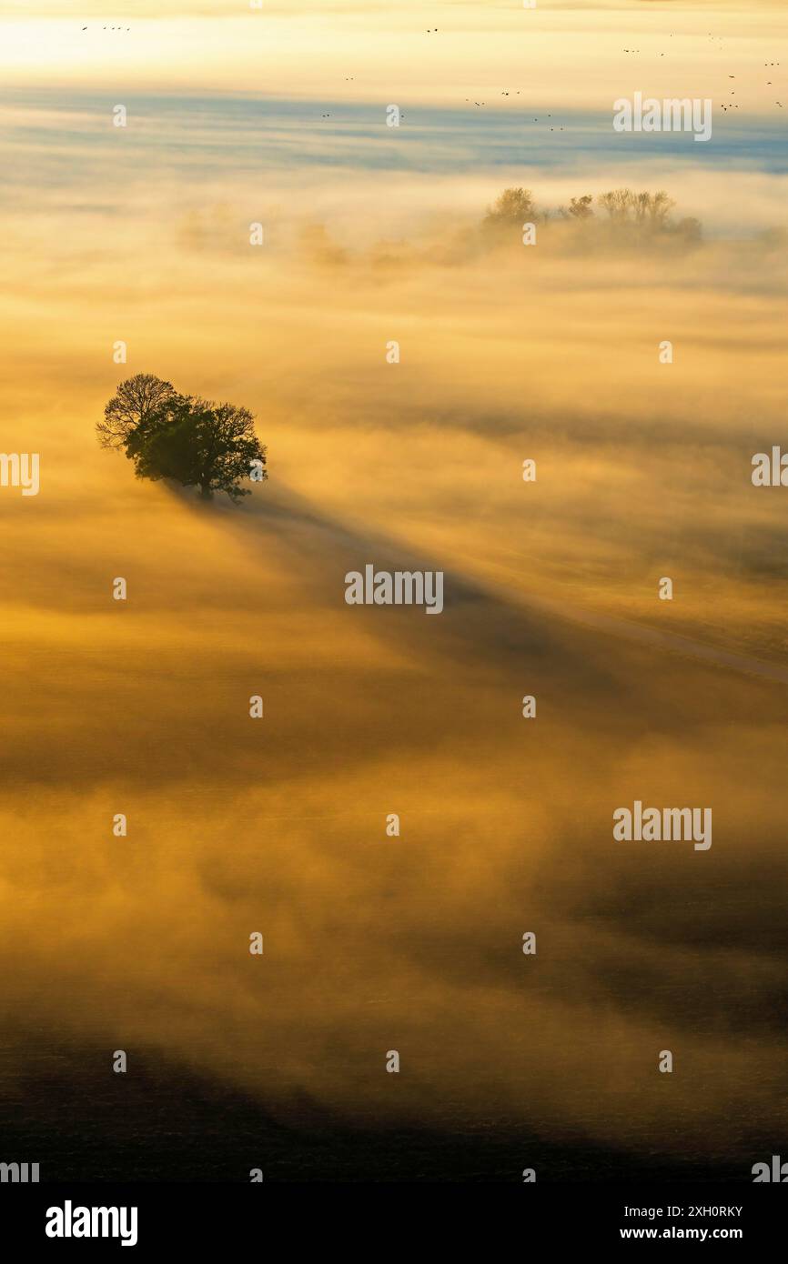 Treetop landscape hi-res stock photography and images - Alamy