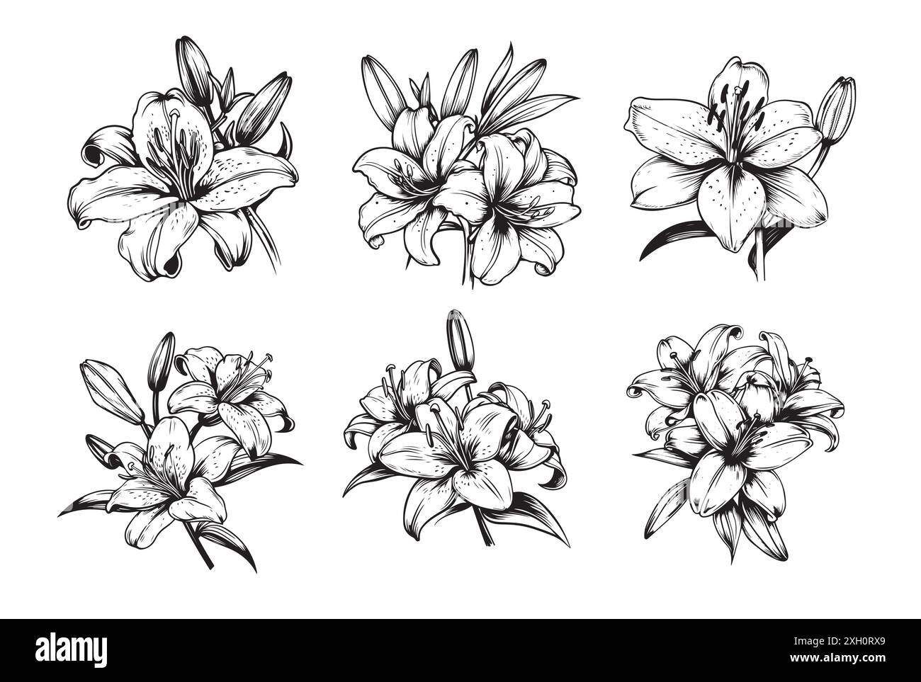 Set of lilies sketch hand drawn in doodle style illustration Stock ...