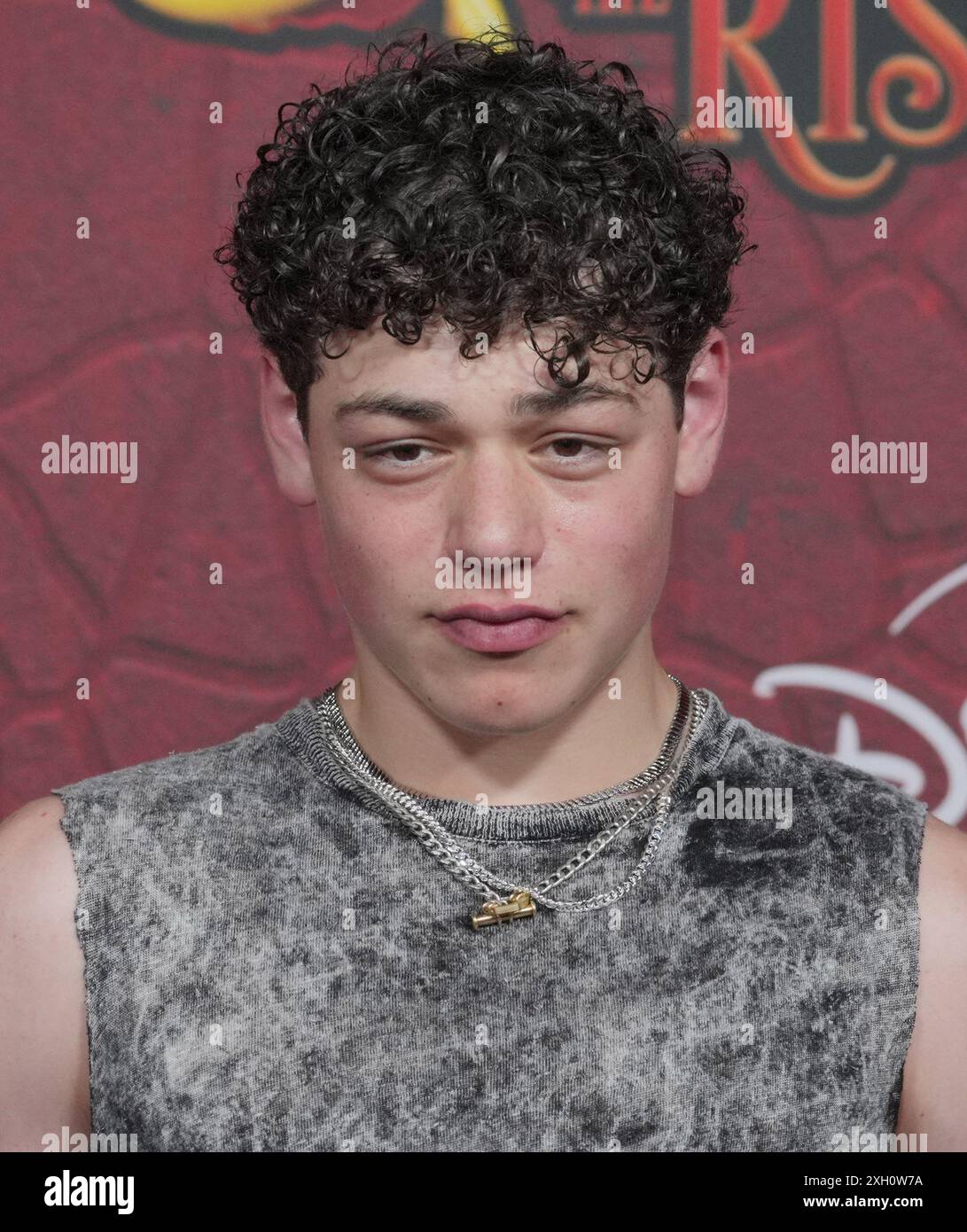 Julian Lerner arrives at the Disney's DESCENDANTS: THE RISE OF RED ...