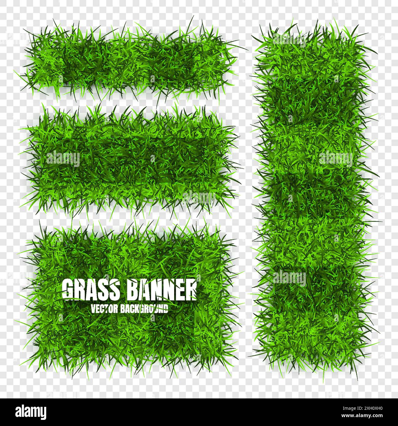 Green grass banners, background. Field, meadow texture, grassy ...