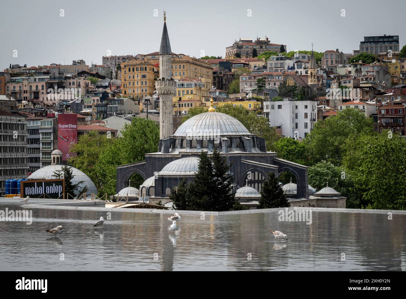 Nusretiye mosque roof hi-res stock photography and images - Alamy