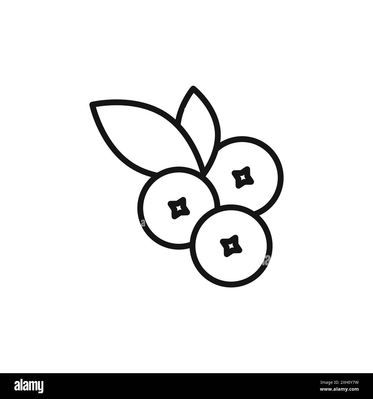 Cranberry icon logo sign vector outline in black and white color Stock ...