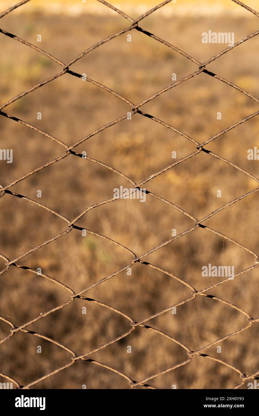 Rusty mesh netting on a background of dry grass out of focus. Grunge ...