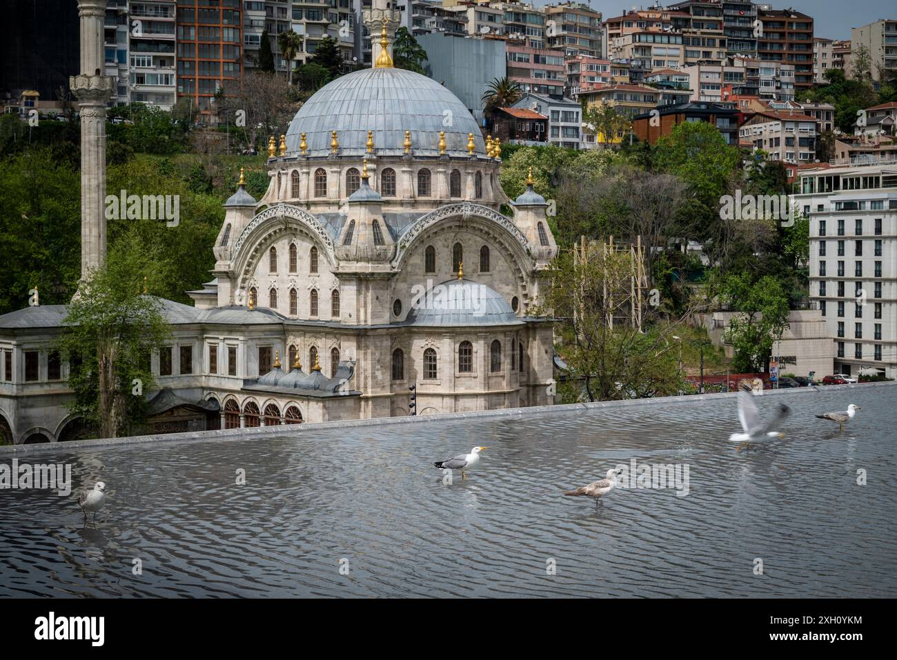 View of the Nusretiye Mosque from the roof of Istanbul Modern that ...