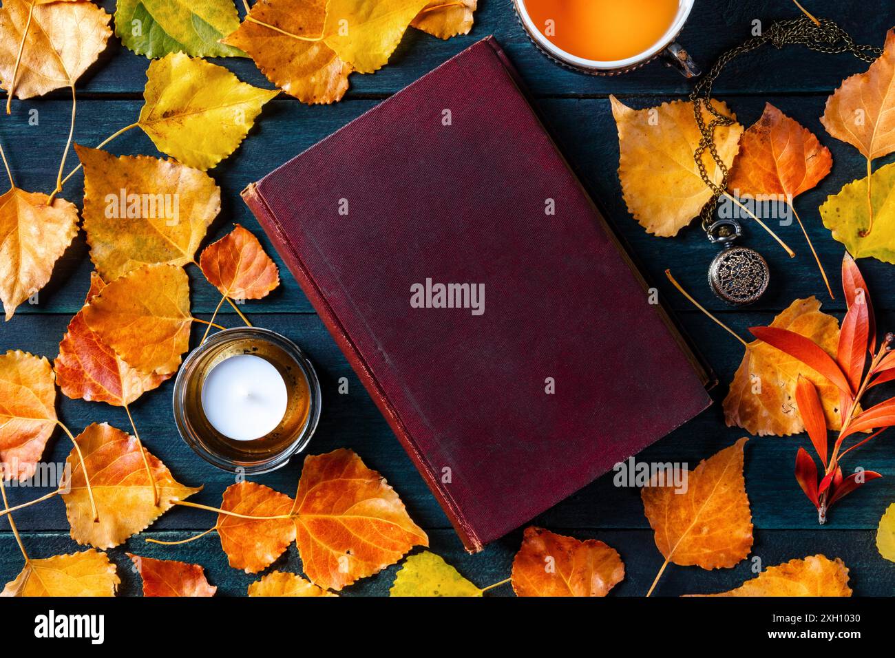 Autumn book cover mockup, an old book with fall leaves, overhead flat ...