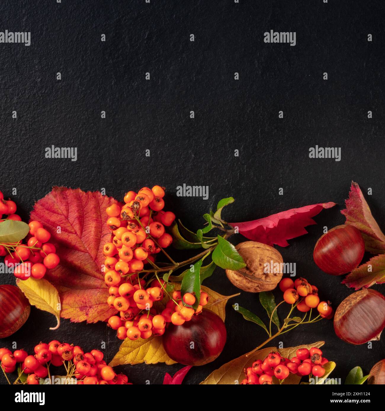 Square autumn design template with fall leaves, chestnuts and copyspace ...